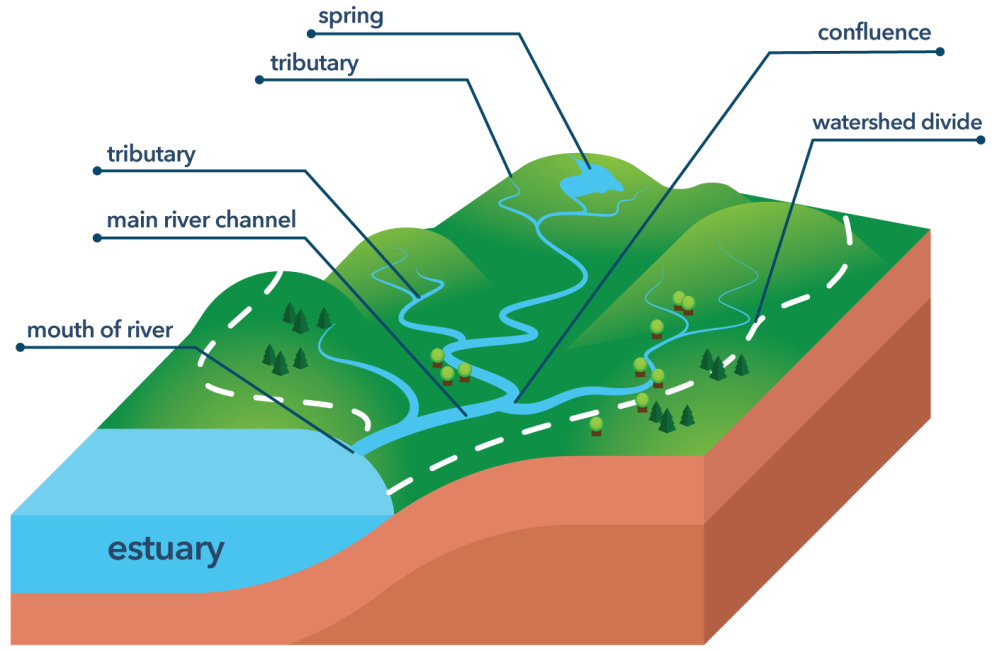 Watersheds | WaterMatters.org